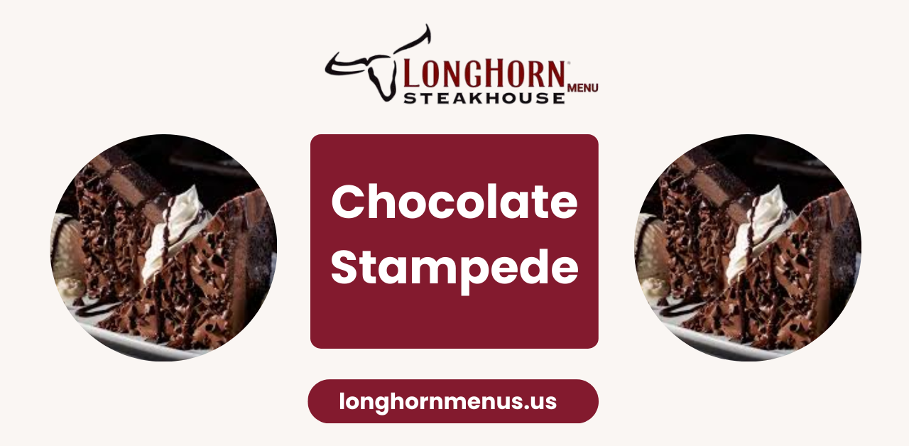 Chocolate Stampede Dessert | Rich Chocolate Cake